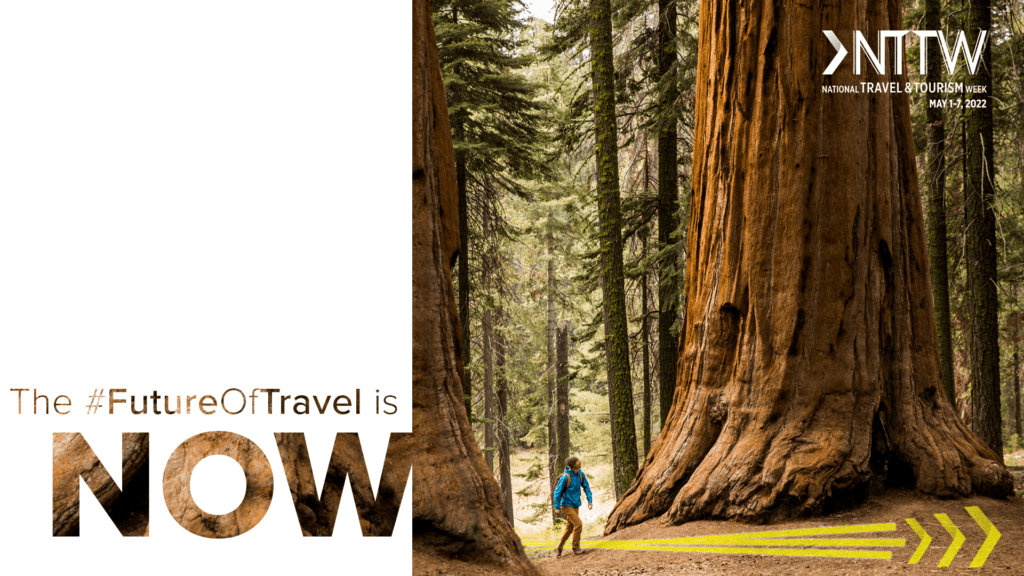 The Future of Travel - Group Travel Odyssey